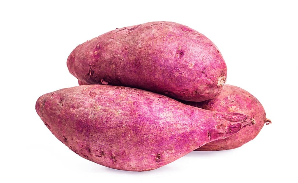 Twenty Japanese Vegetables to enjoy - Mountain Plums