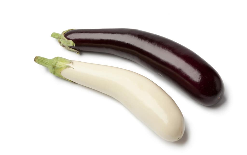 Twenty Japanese Vegetables to enjoy - Mountain Plums