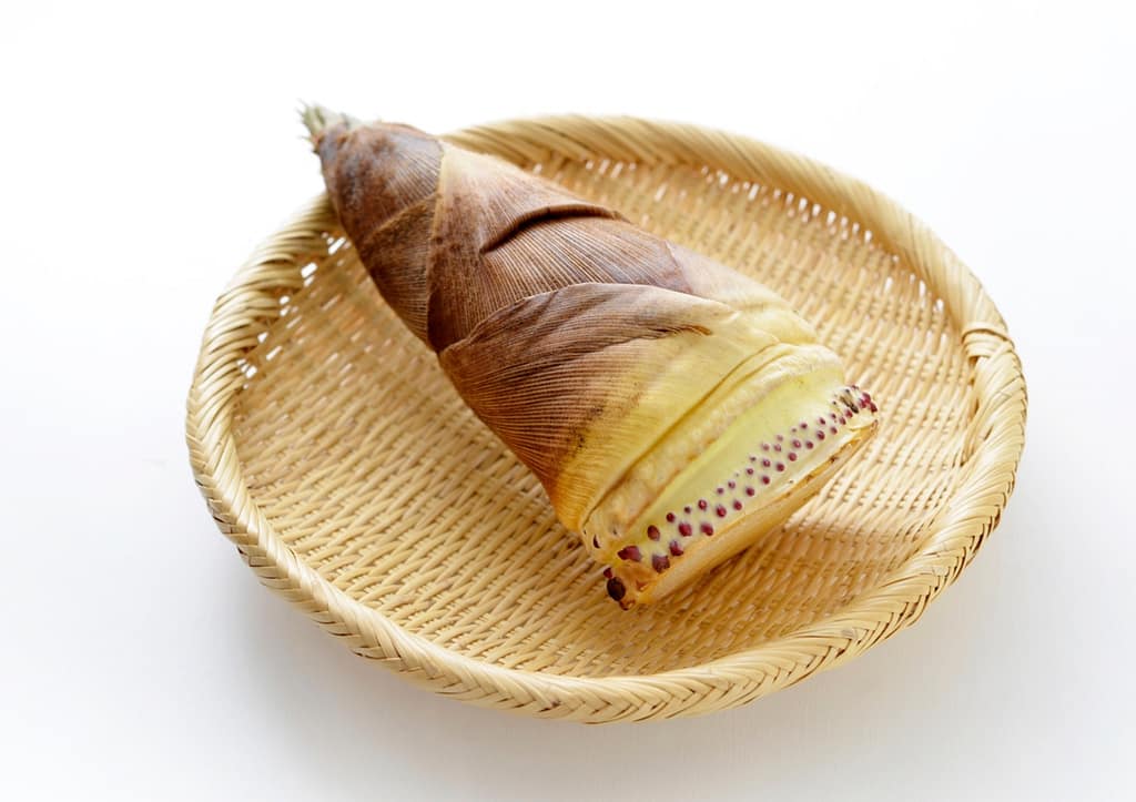 Twenty Japanese Vegetables to enjoy - Mountain Plums