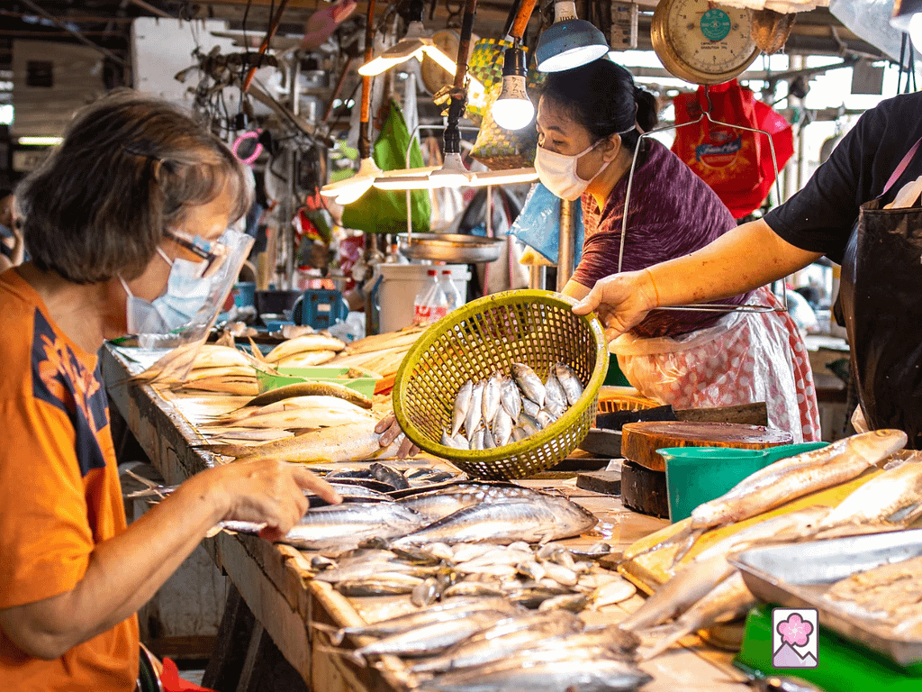 Exploring the Vibrant Toyosu Fish Market in Tokyo: A Seafood Lover's ...