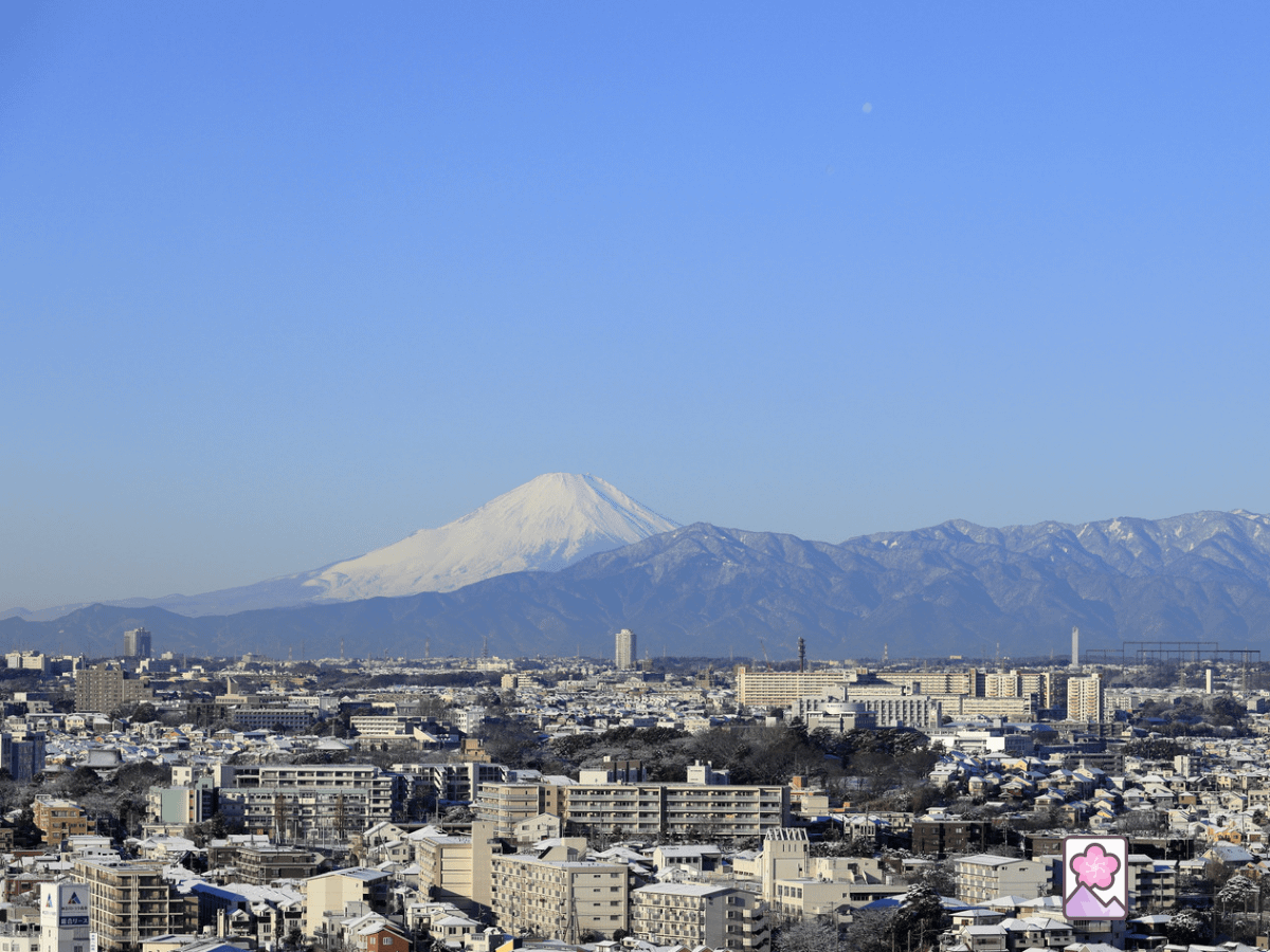 Hashi, Japanese Chopsticks - Tools beyond Cutlery - Mountain Plums