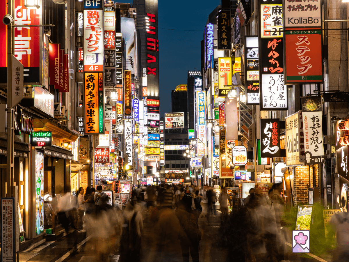 Types of Japanese Restaurants - Mountain Plums