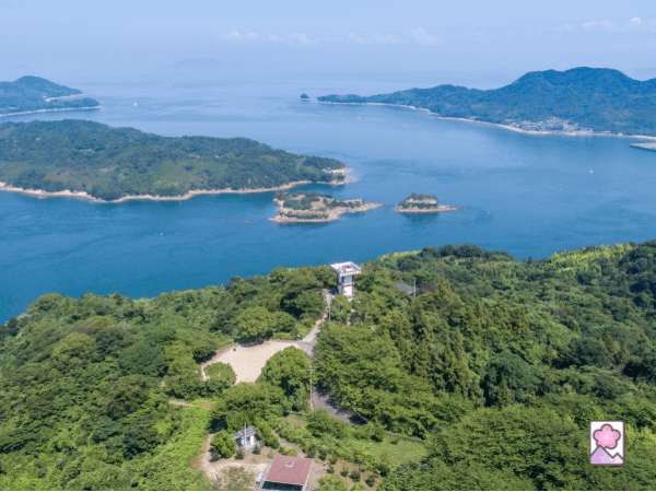 Exploring the Bountiful Delights: Seto Sea Seafood Unveiled - Mountain ...