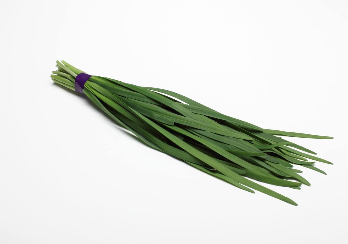 Twenty Japanese Vegetables to enjoy - Mountain Plums