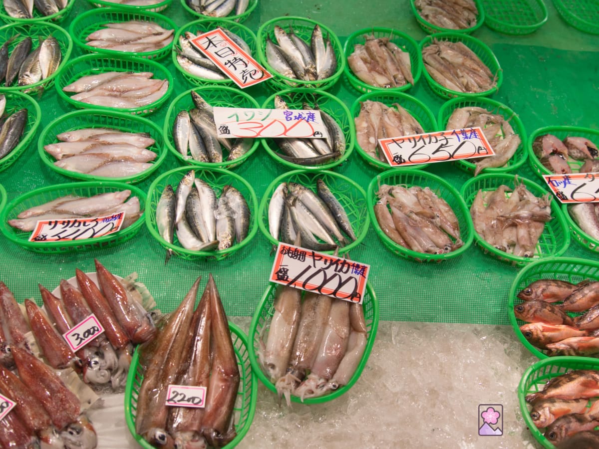 A Guide to Japanese Fish – Marine Delights the Nippon Way - Mountain Plums