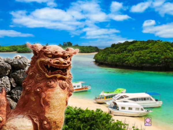 In a Nutshell: Okinawa and the Ryukyu Islands - Mountain Plums