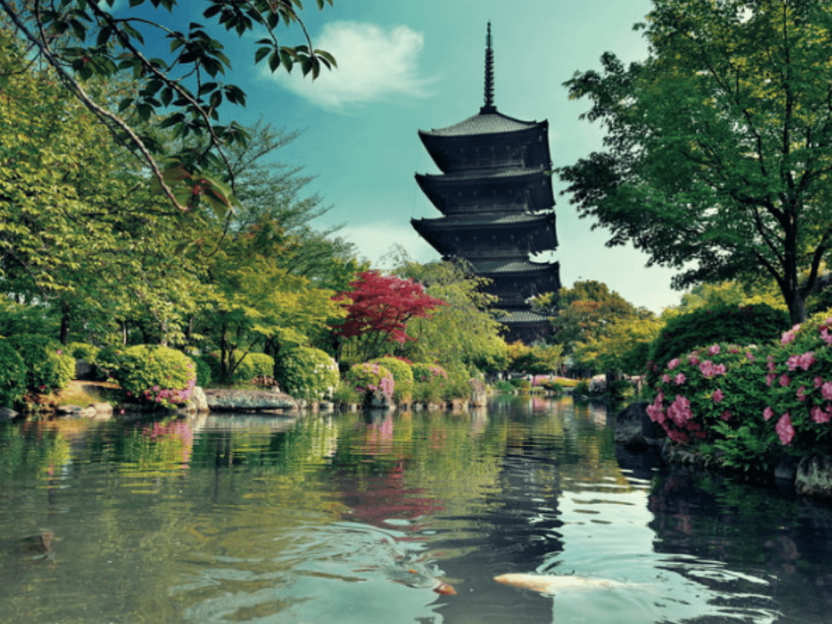 In a Nutshell: Kyoto - The Cradle of Japanese Culture - Mountain Plums
