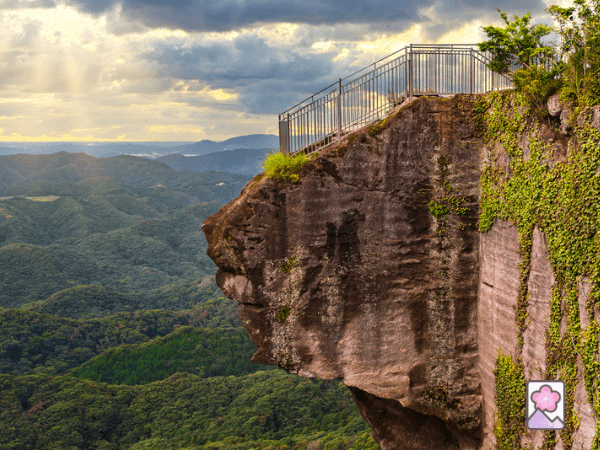 In a Nutshell: Kanto - Mountain Plums