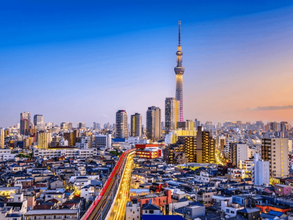 In a Nutshell: Tokyo Metropolitan Area - Mountain Plums