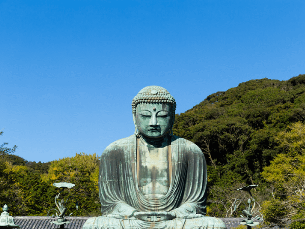 In a Nutshell: Tokyo Metropolitan Area - Mountain Plums