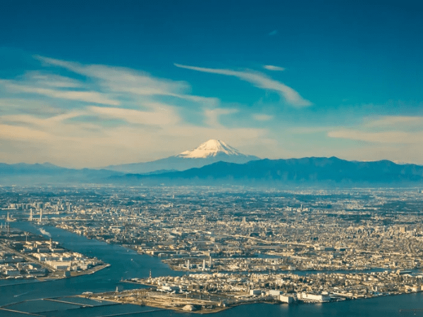 In a Nutshell: Tokyo Metropolitan Area - Mountain Plums