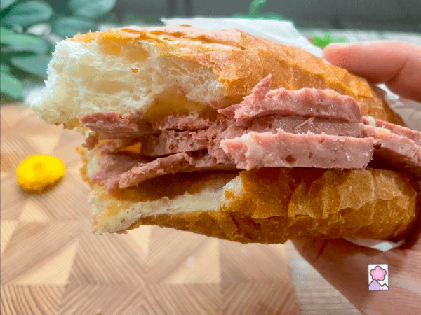 Homemade Bologna - Mountain Plums